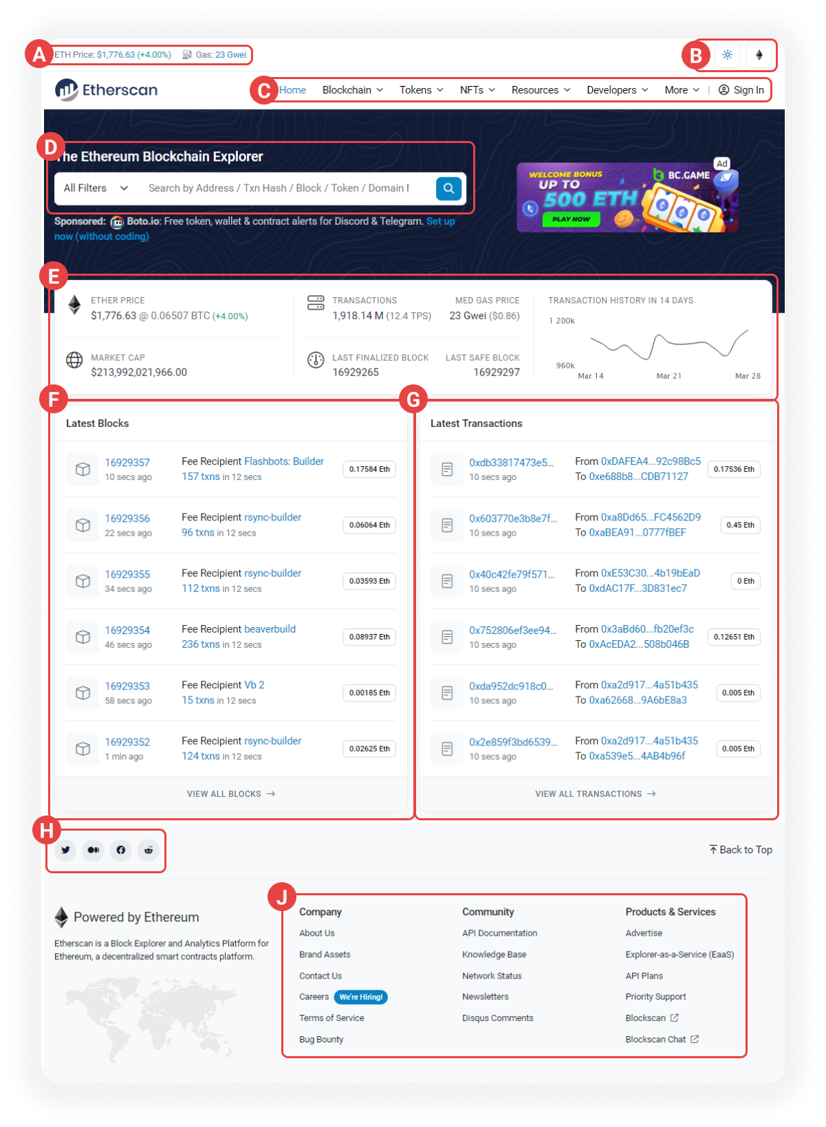 Etherscan Information Center | Navigating the Etherscan Homepage